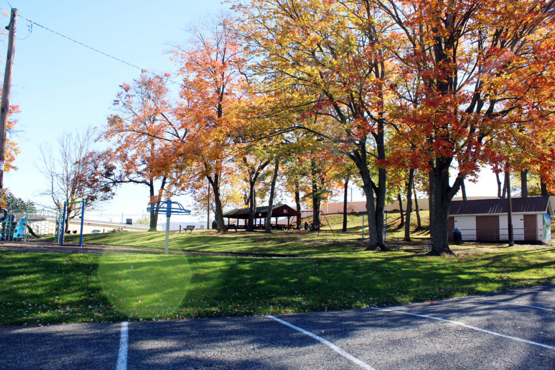 Upgrades on the way for Grove Community Park | News, Sports, Jobs - The ...